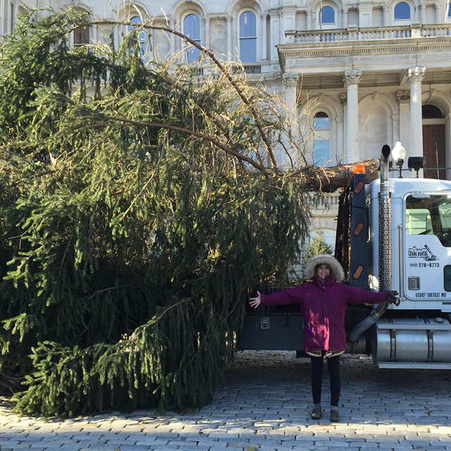A Tree for the City | Johns Hopkins Medicine