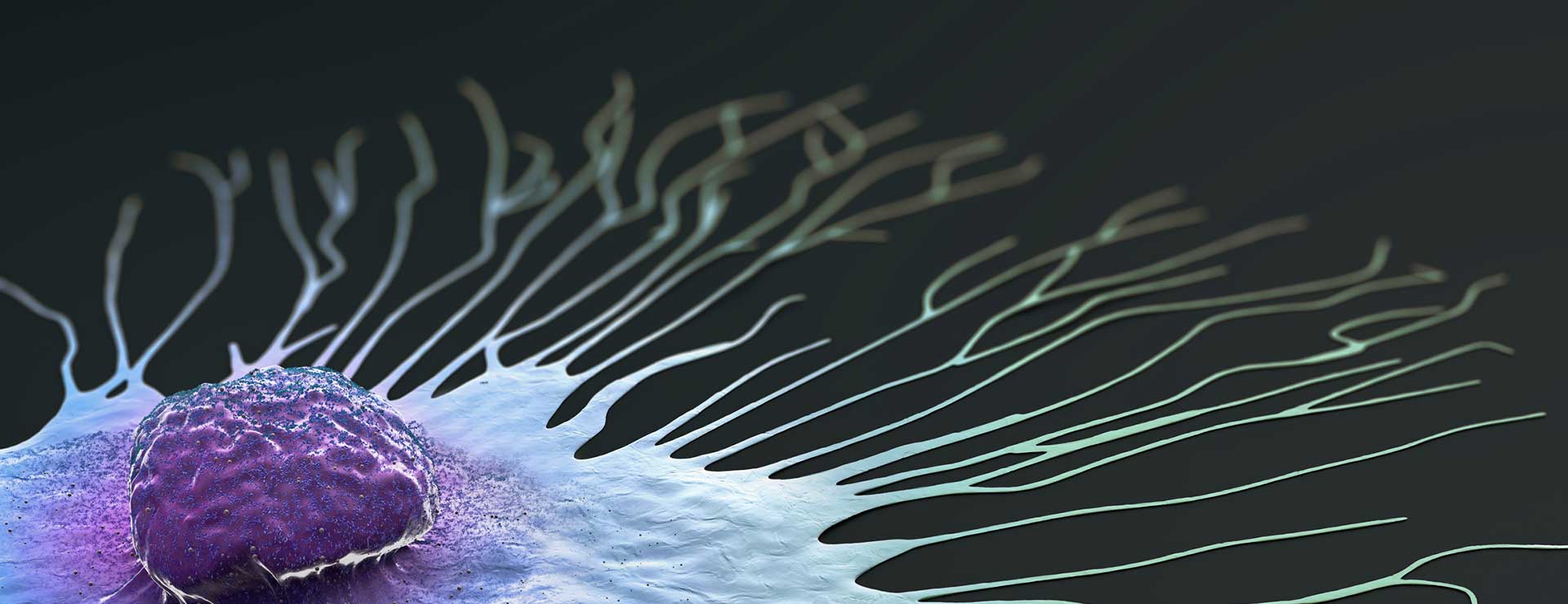 Proton Therapy for Breast Cancer Treatment | Johns Hopkins Medicine