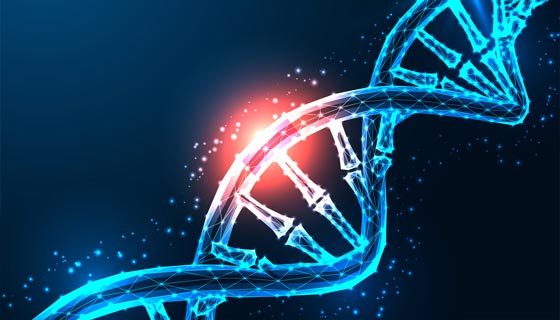 Hereditary Multiple Exostosis (Diahyseal Aclasia) | Johns Hopkins Medicine