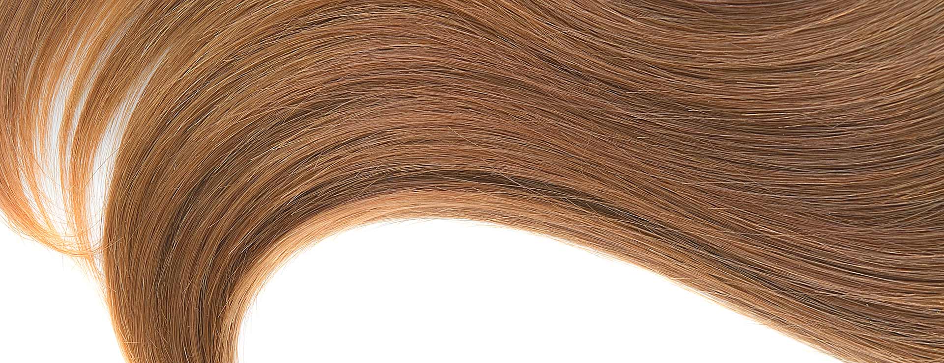 Cartilage Hair Hypoplasia | Johns Hopkins Medicine