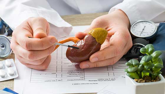 Living Kidney Donation: Everything You Should Know | Johns Hopkins Medicine