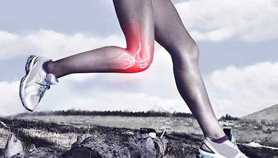 Torn Meniscus | Johns Hopkins Medicine