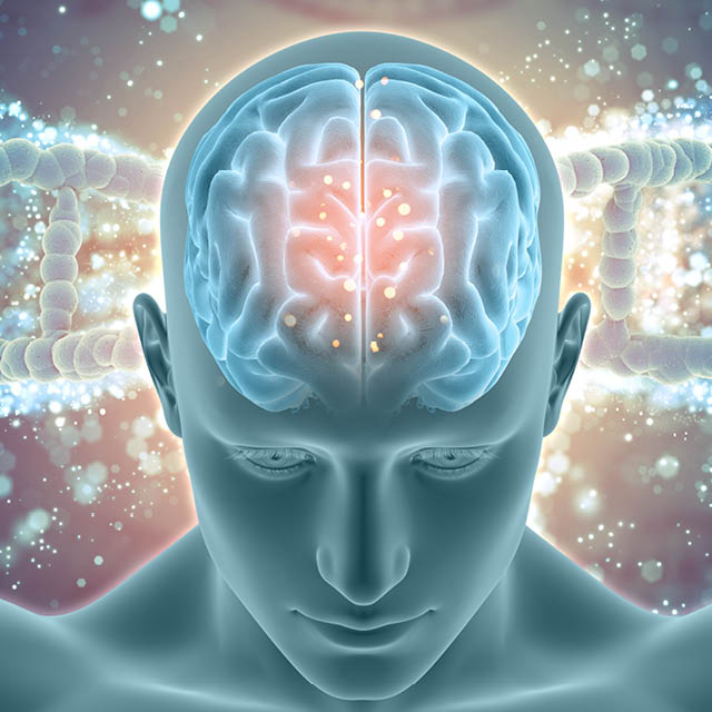 Brain Wise Past Issues | Johns Hopkins Medicine