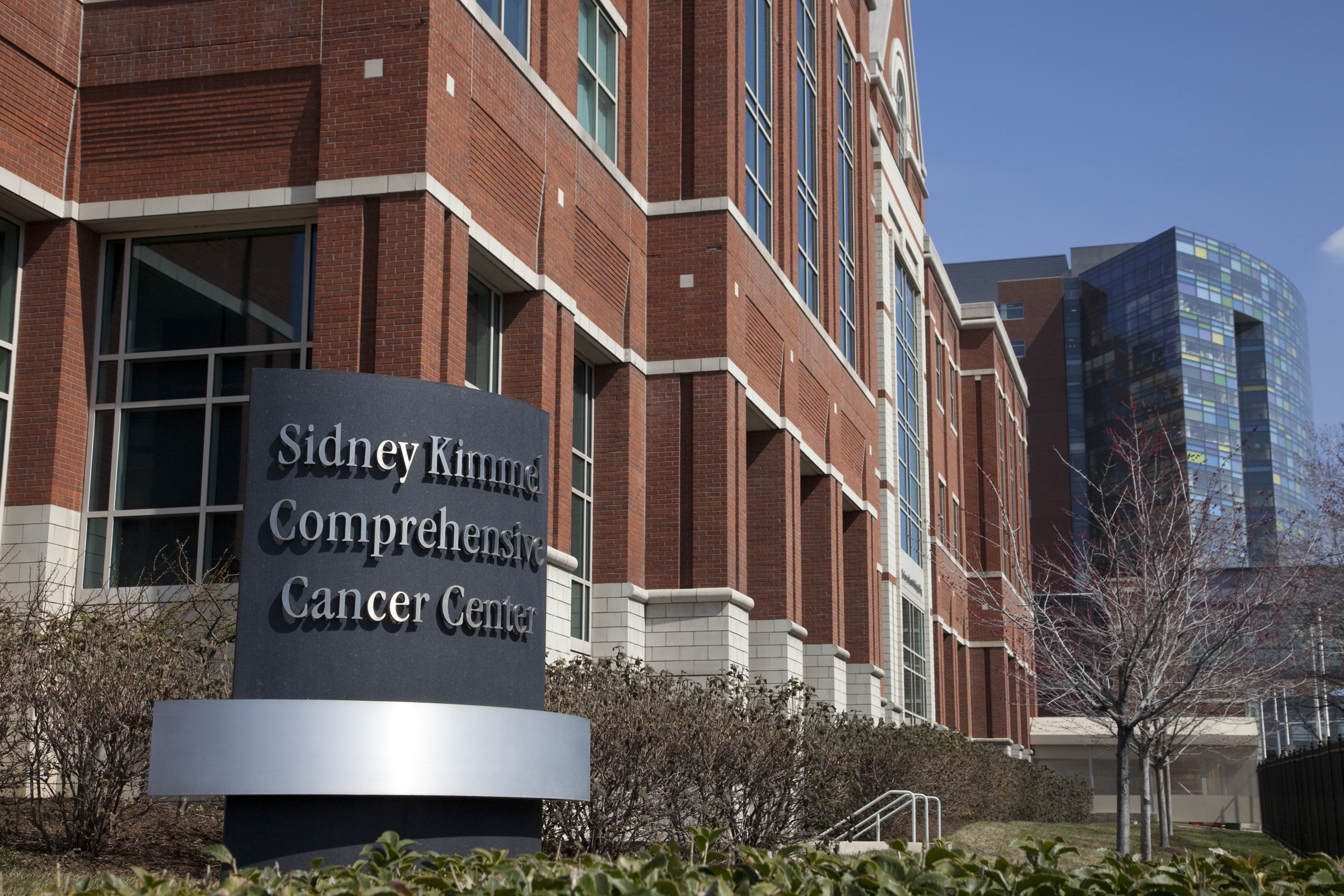 Johns Hopkins Kimmel Cancer Center at ASCO Annual Meeting | Johns ...