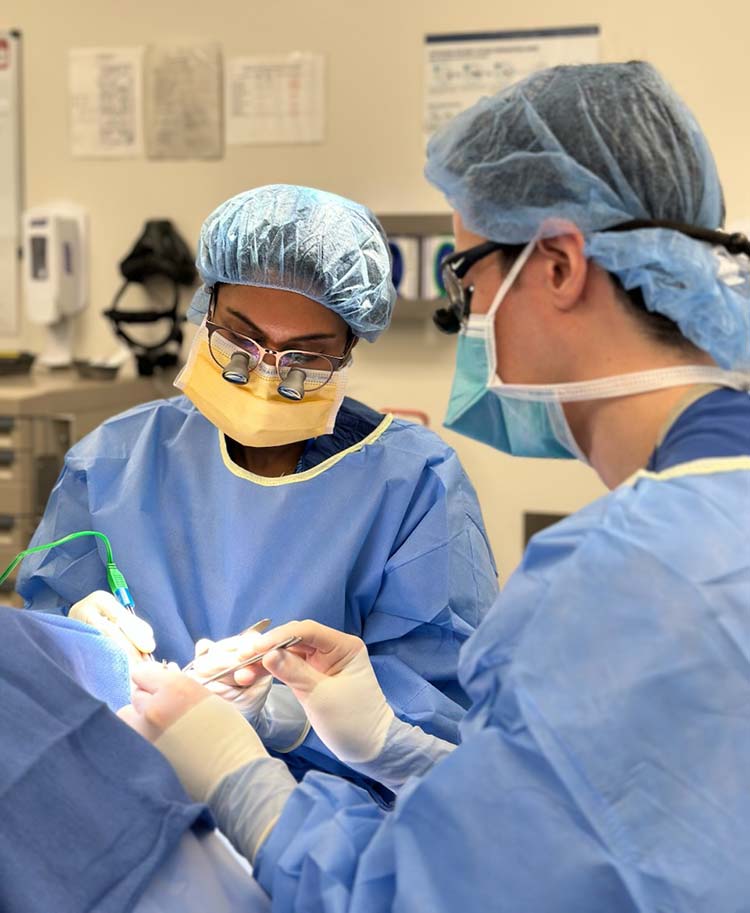 Pediatric Ophthalmology and Adult Strabismus Fellowship | Johns Hopkins ...